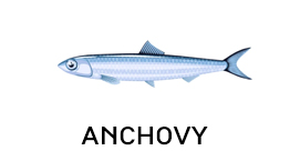 Tuna.lk - Shop Fresh Fish & Seafood | Online Order | Free Delivery