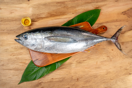 Tuna.lk - Shop Fresh Fish & Seafood | Online Order | Free Delivery